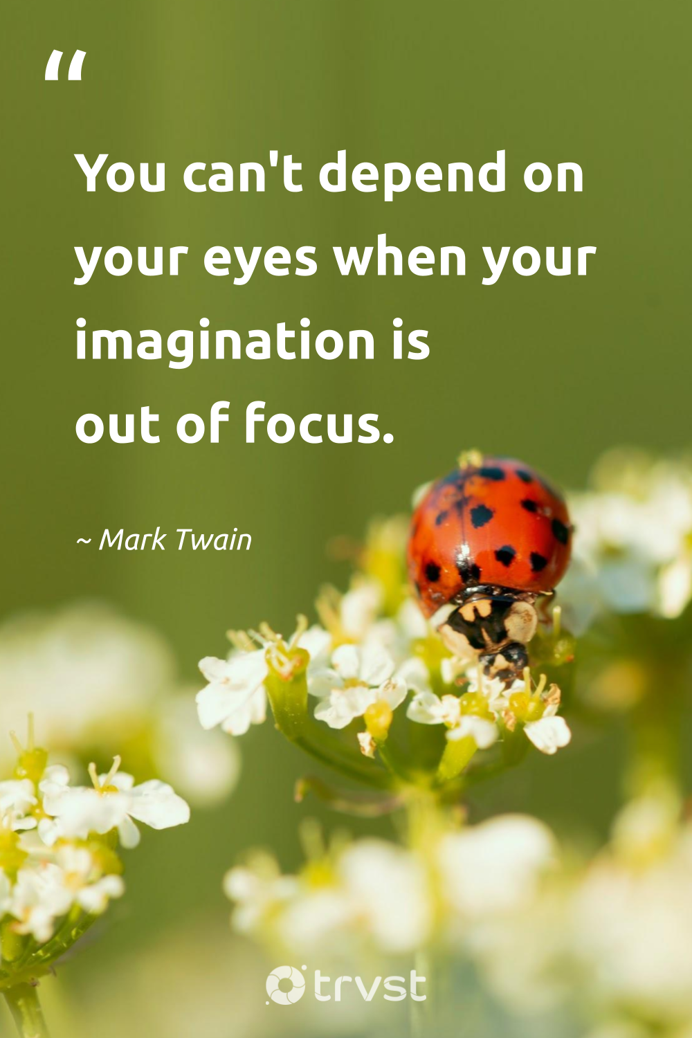 80 Creativity Quotes To Fuel Your Imagination