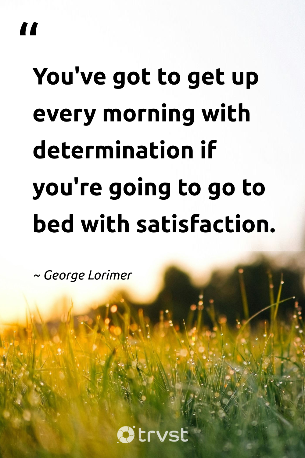 35 Determination Quotes Fueling Your Drive To Succeed