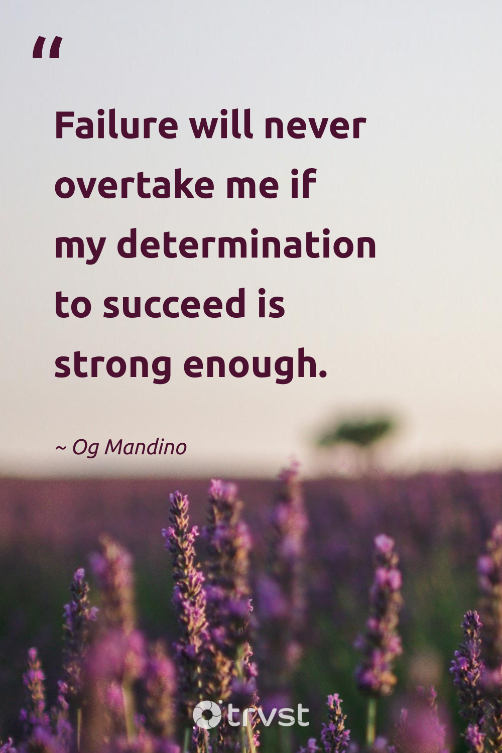 35 Determination Quotes Fueling Your Drive To Succeed