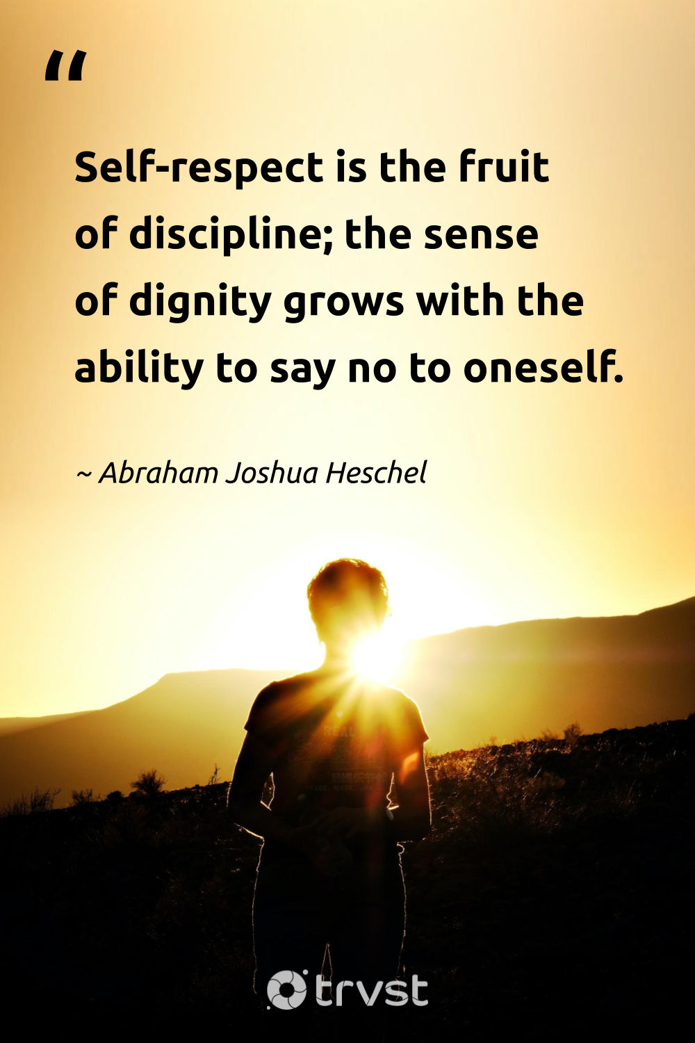 72 Discipline Quotes to Master the Mind and Fuel Success (2025)