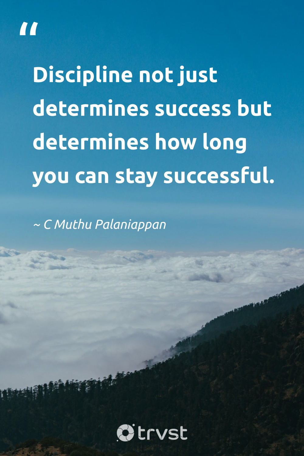 72 Discipline Quotes to Master the Mind and Fuel Success (2024)