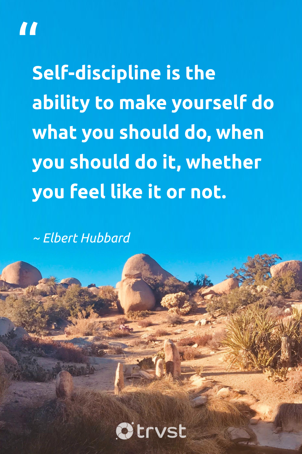 72 Discipline Quotes to Master the Mind and Fuel Success (2024)