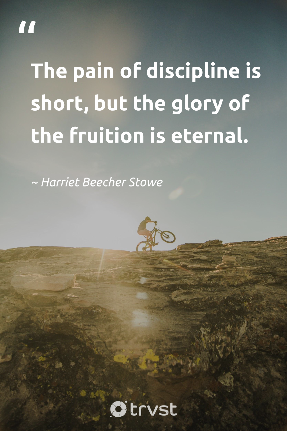 72 Discipline Quotes to Master the Mind and Fuel Success (2024)