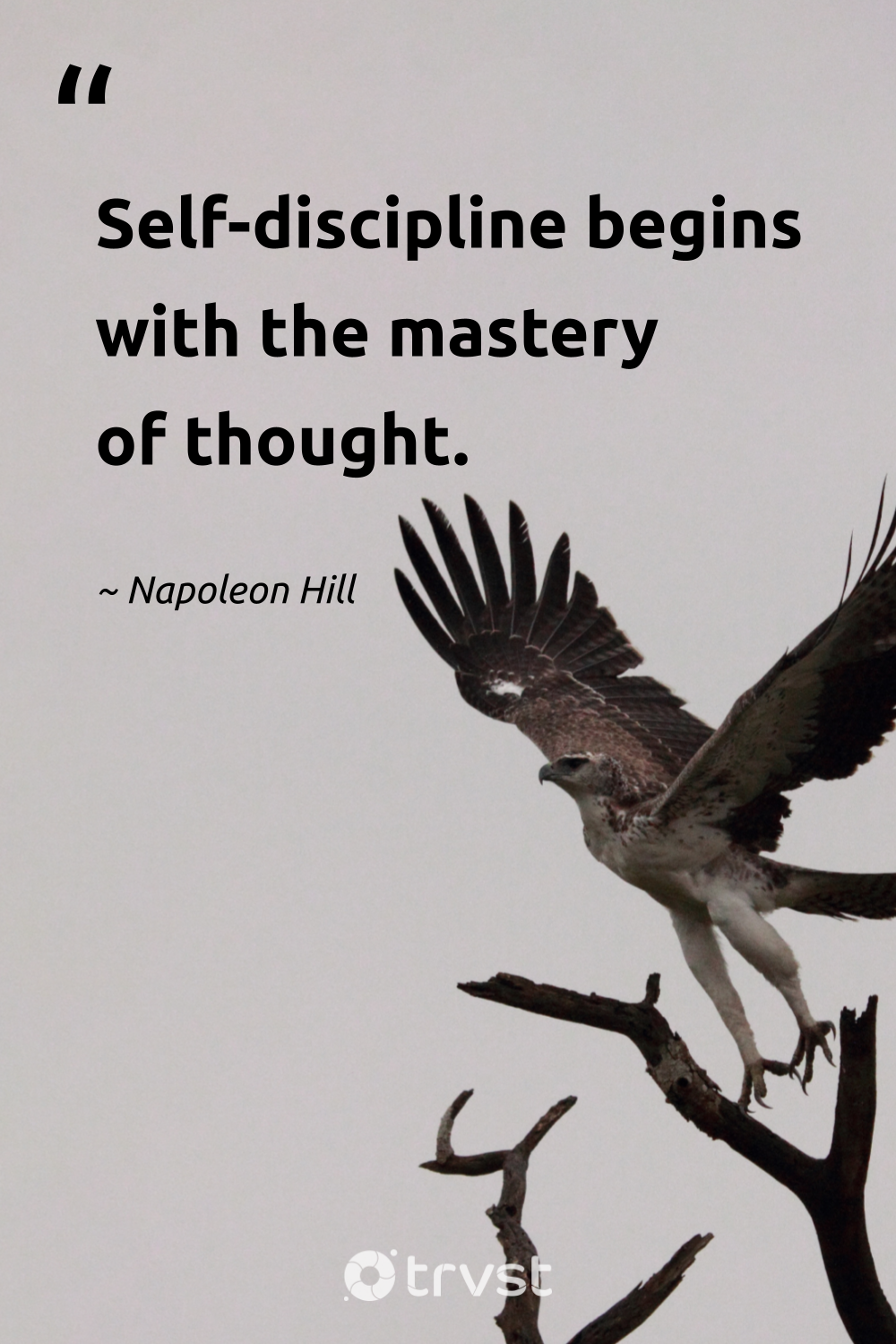 72 Discipline Quotes to Master the Mind and Fuel Success (2024)