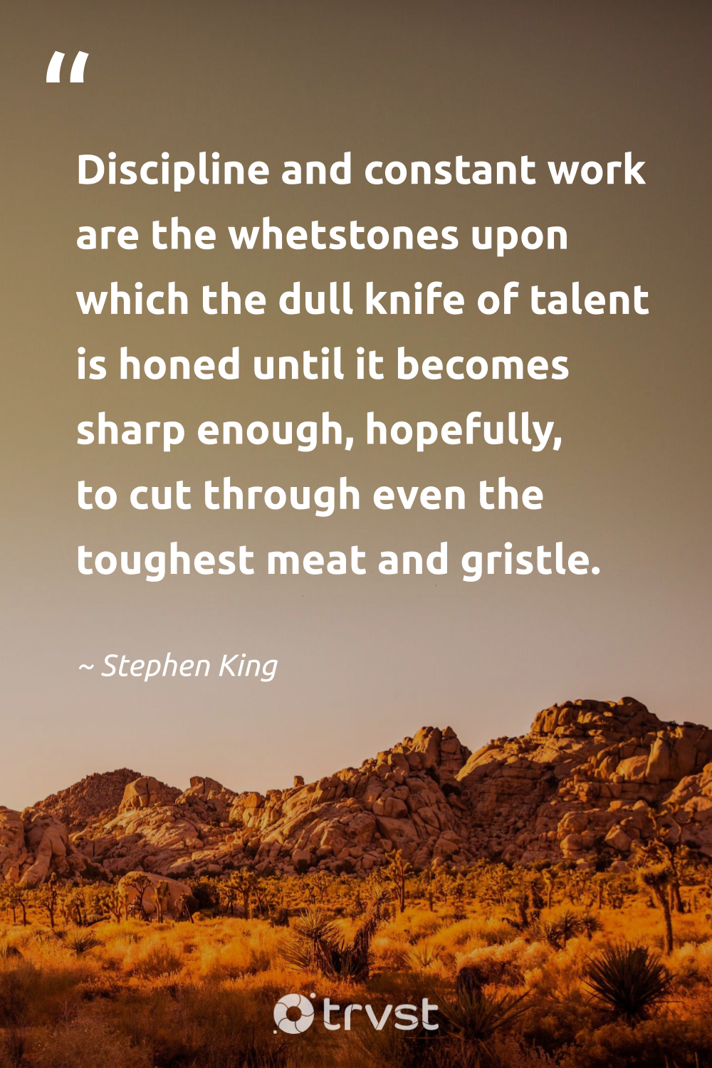 72 Discipline Quotes to Master the Mind and Fuel Success (2024)