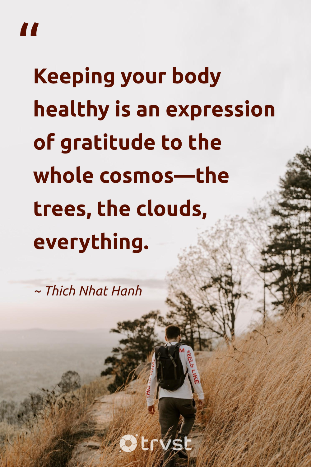 72 Discipline Quotes to Master the Mind and Fuel Success (2024)