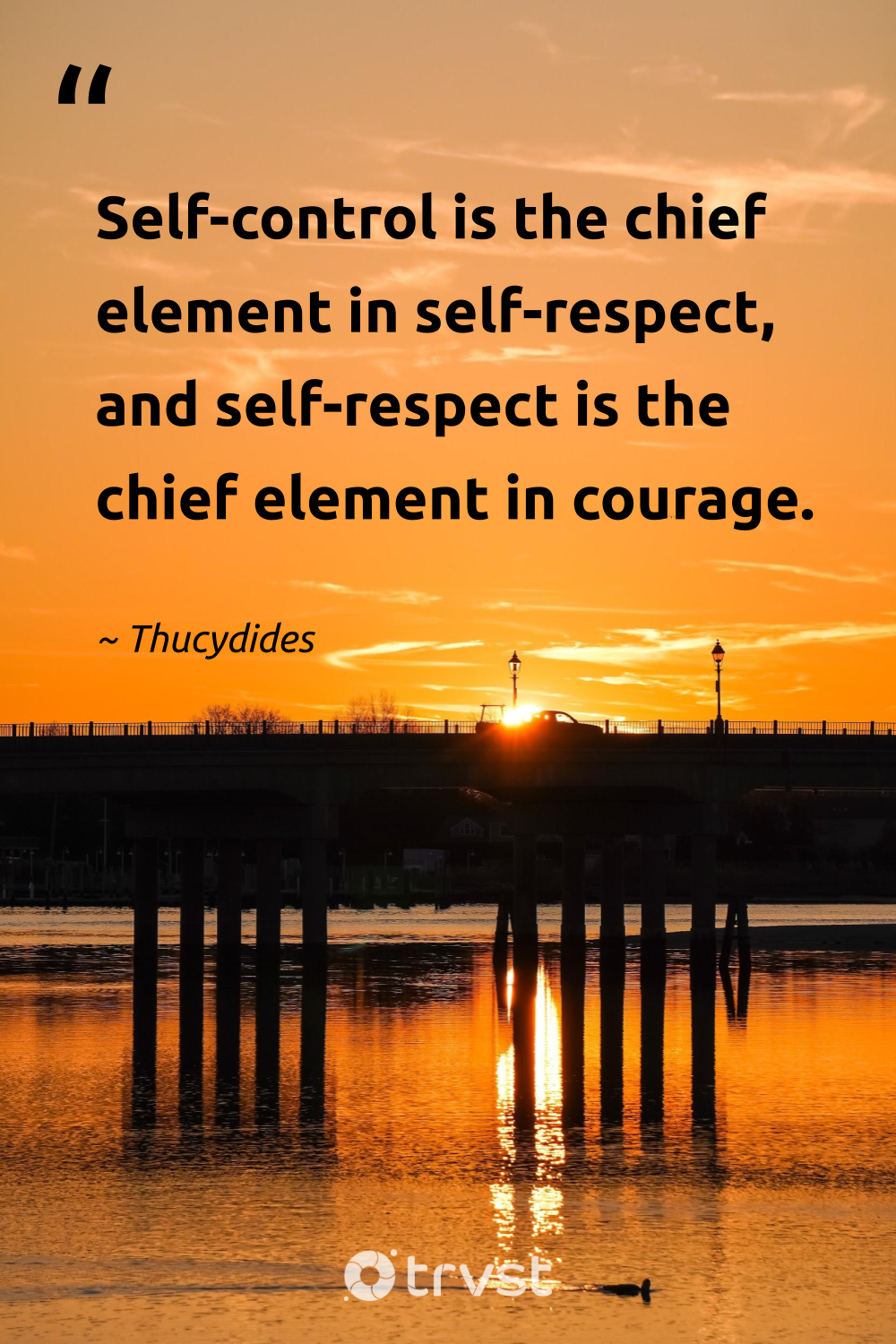 72 Discipline Quotes to Master the Mind and Fuel Success (2024)