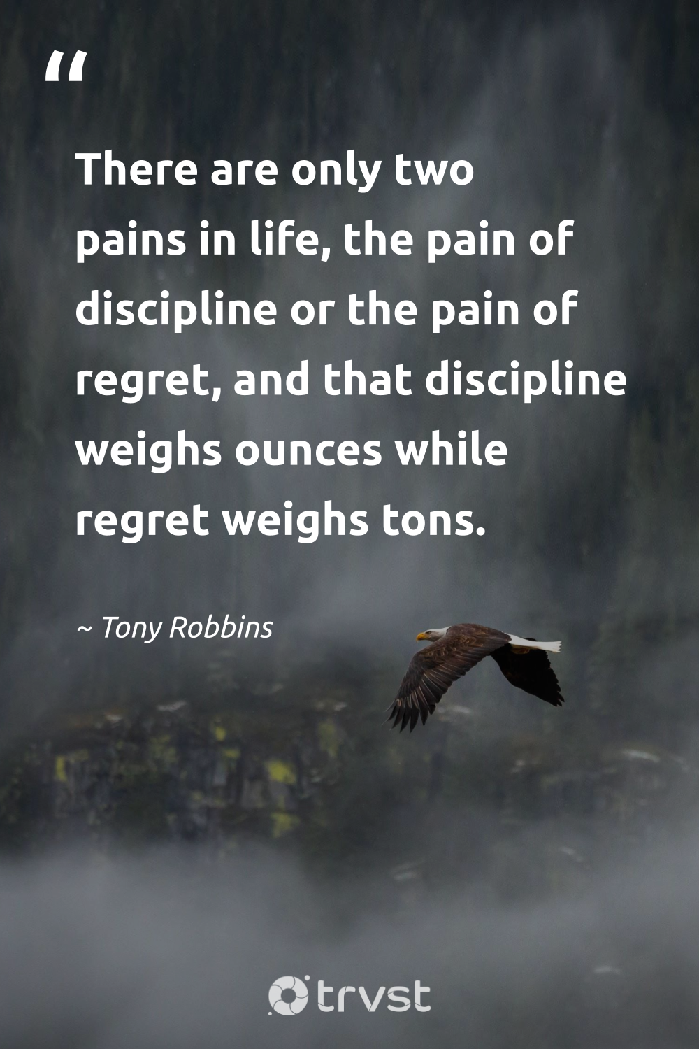 72 Discipline Quotes to Master the Mind and Fuel Success (2024)