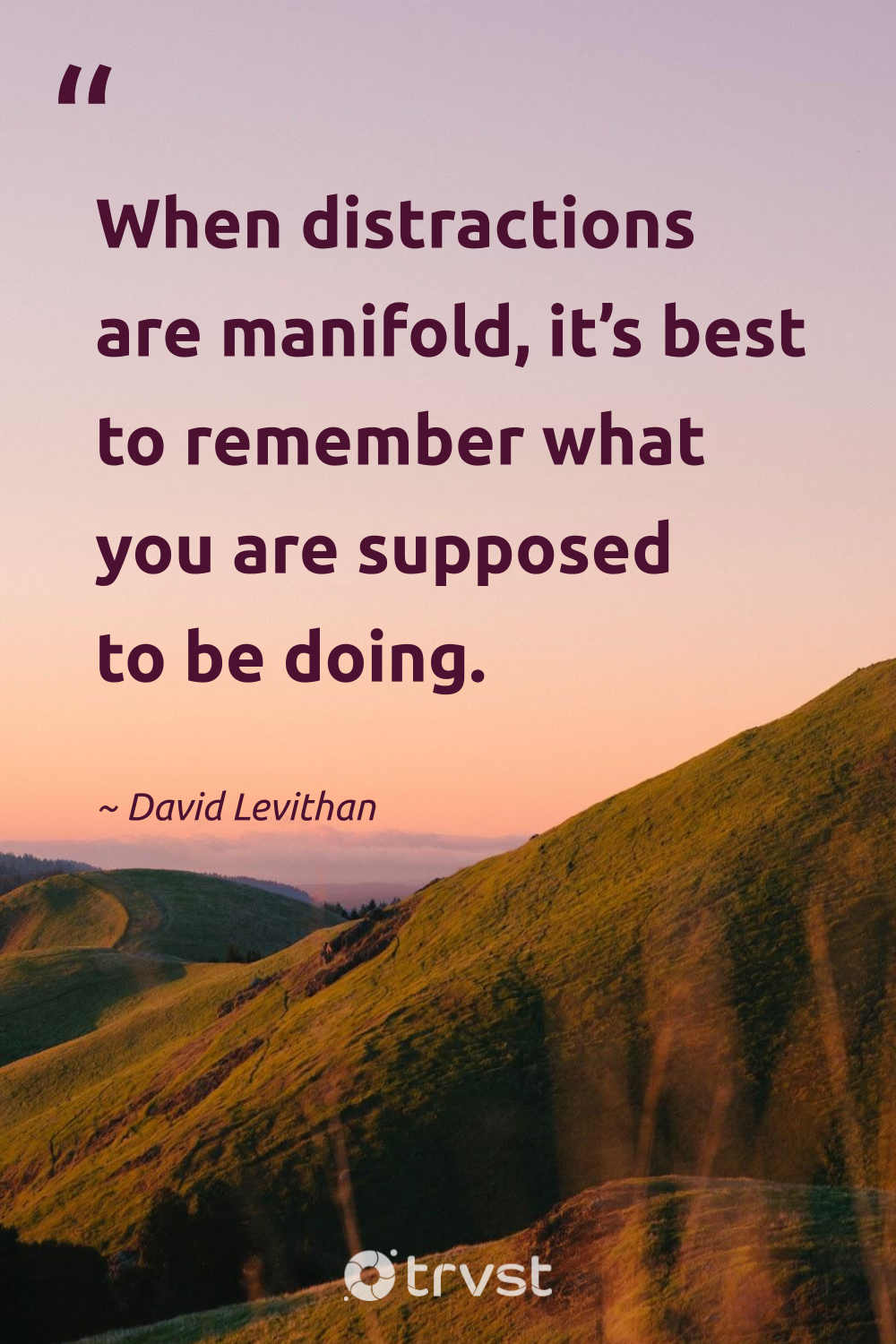 40 Distraction Quotes To Cut Through the Noise And Focus (2025)