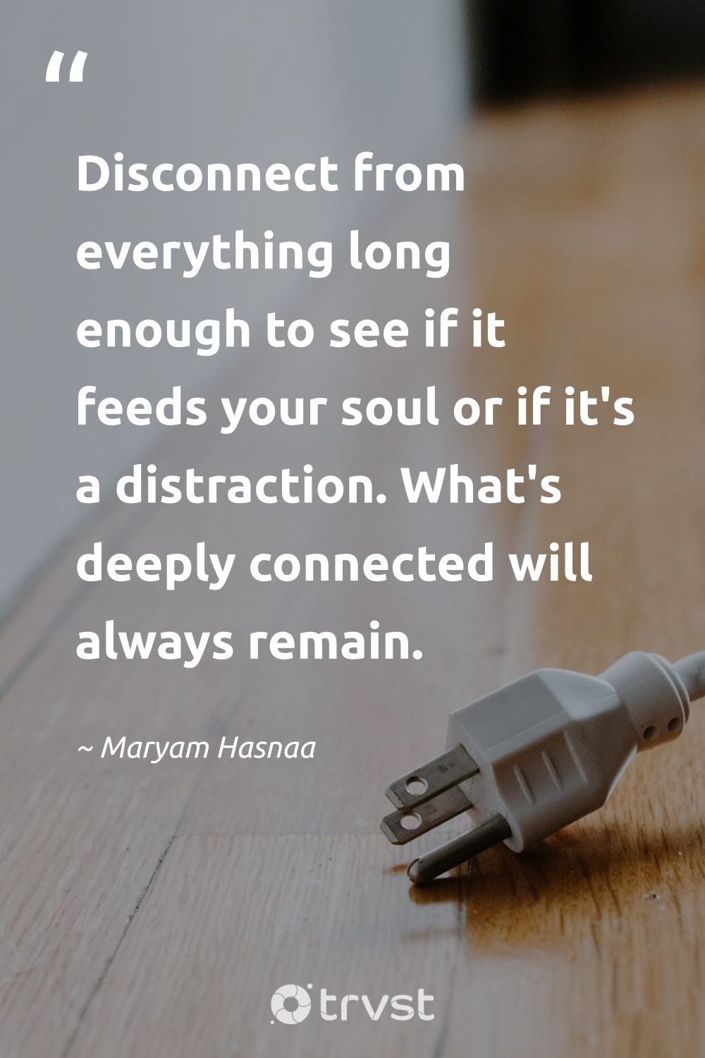 40 Distraction Quotes To Cut Through the Noise And Focus (2025)