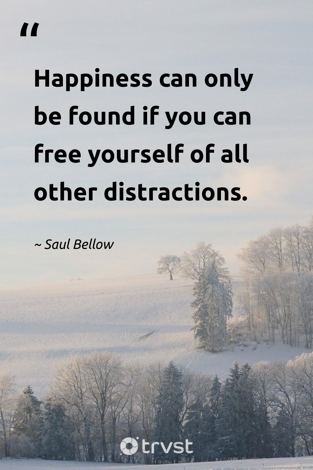 40 Distraction Quotes To Cut Through the Noise And Focus (2025)