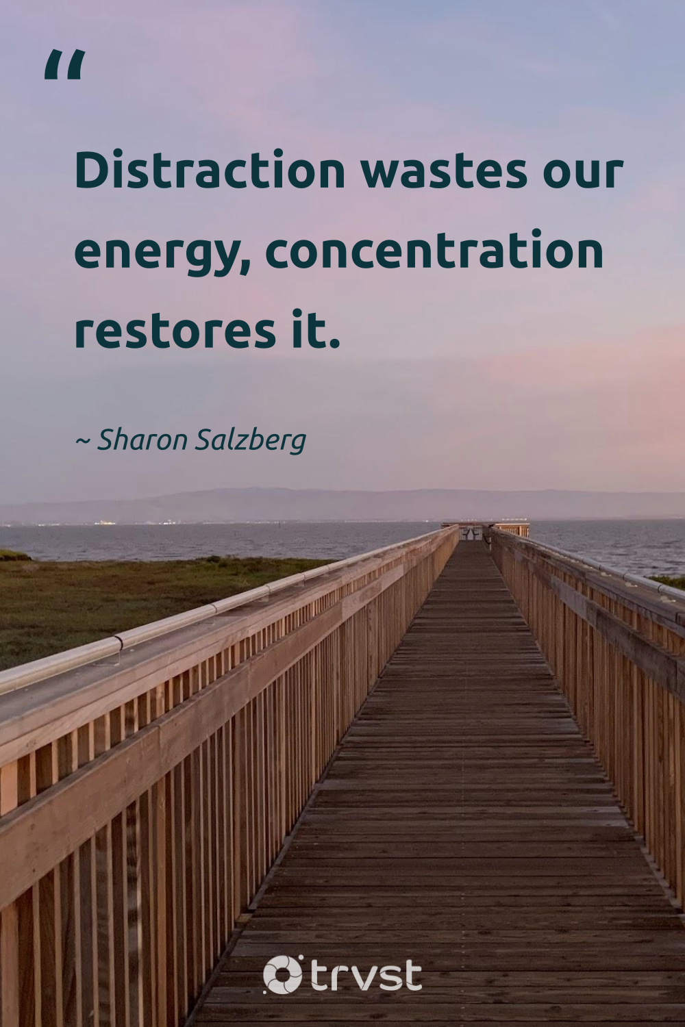 40 Distraction Quotes To Cut Through the Noise And Focus (2025)