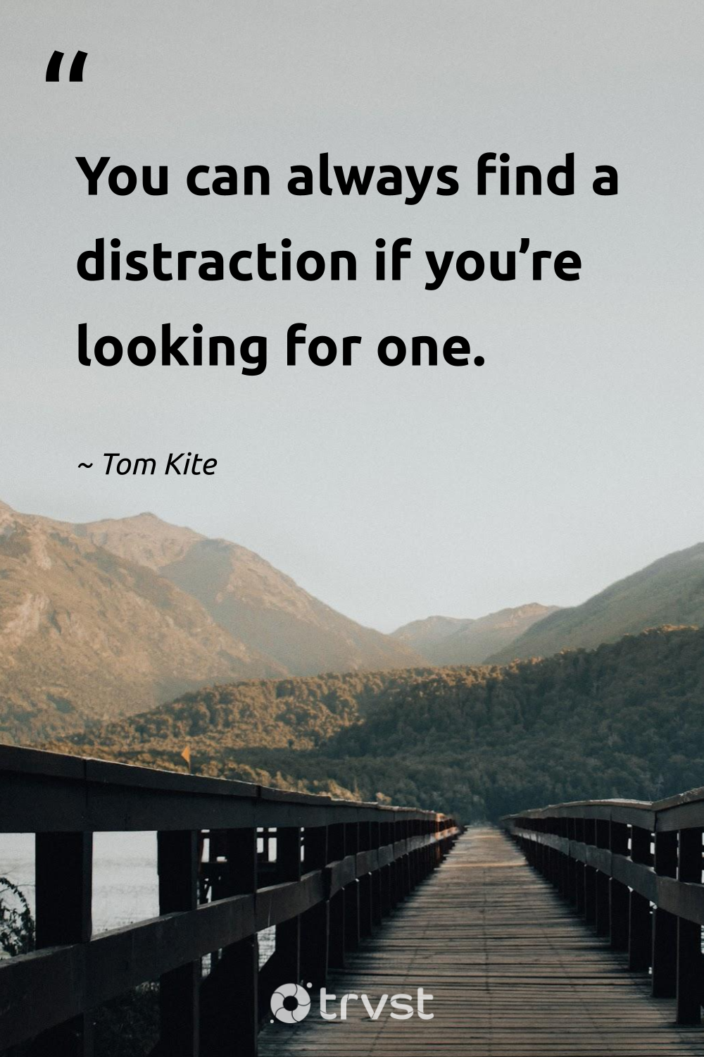 40 Distraction Quotes To Cut Through the Noise And Focus (2025)