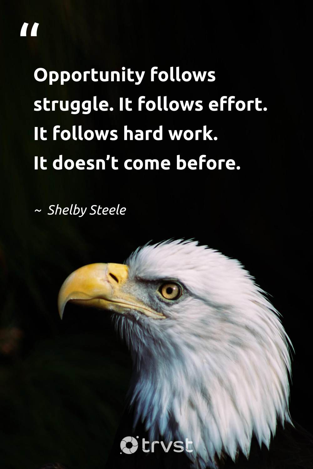 60 Effort Quotes to Unlock Your Full Potential