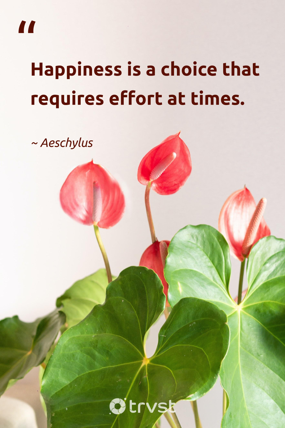 60 Effort Quotes to Unlock Your Full Potential