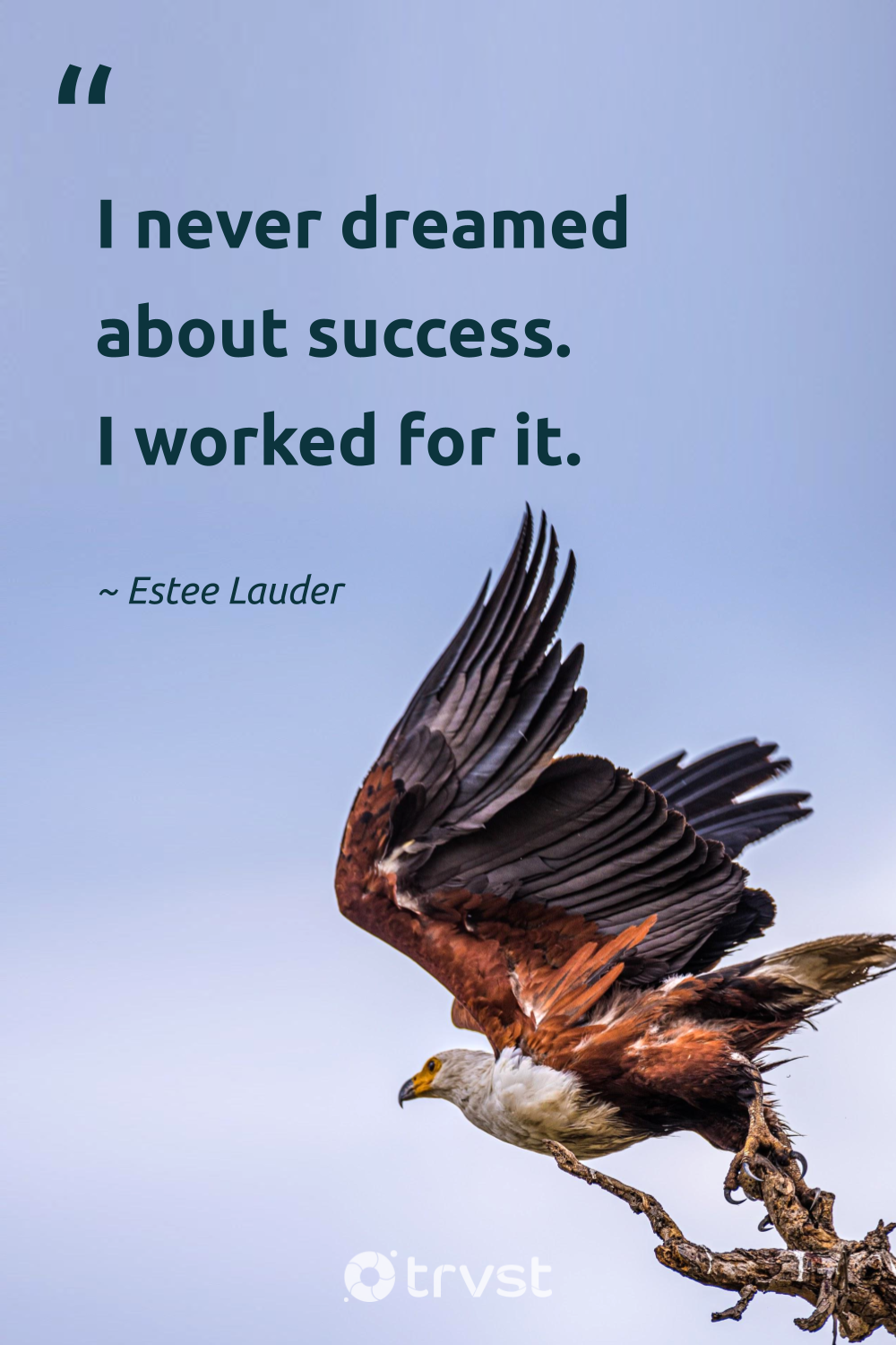 60 Effort Quotes to Unlock Your Full Potential