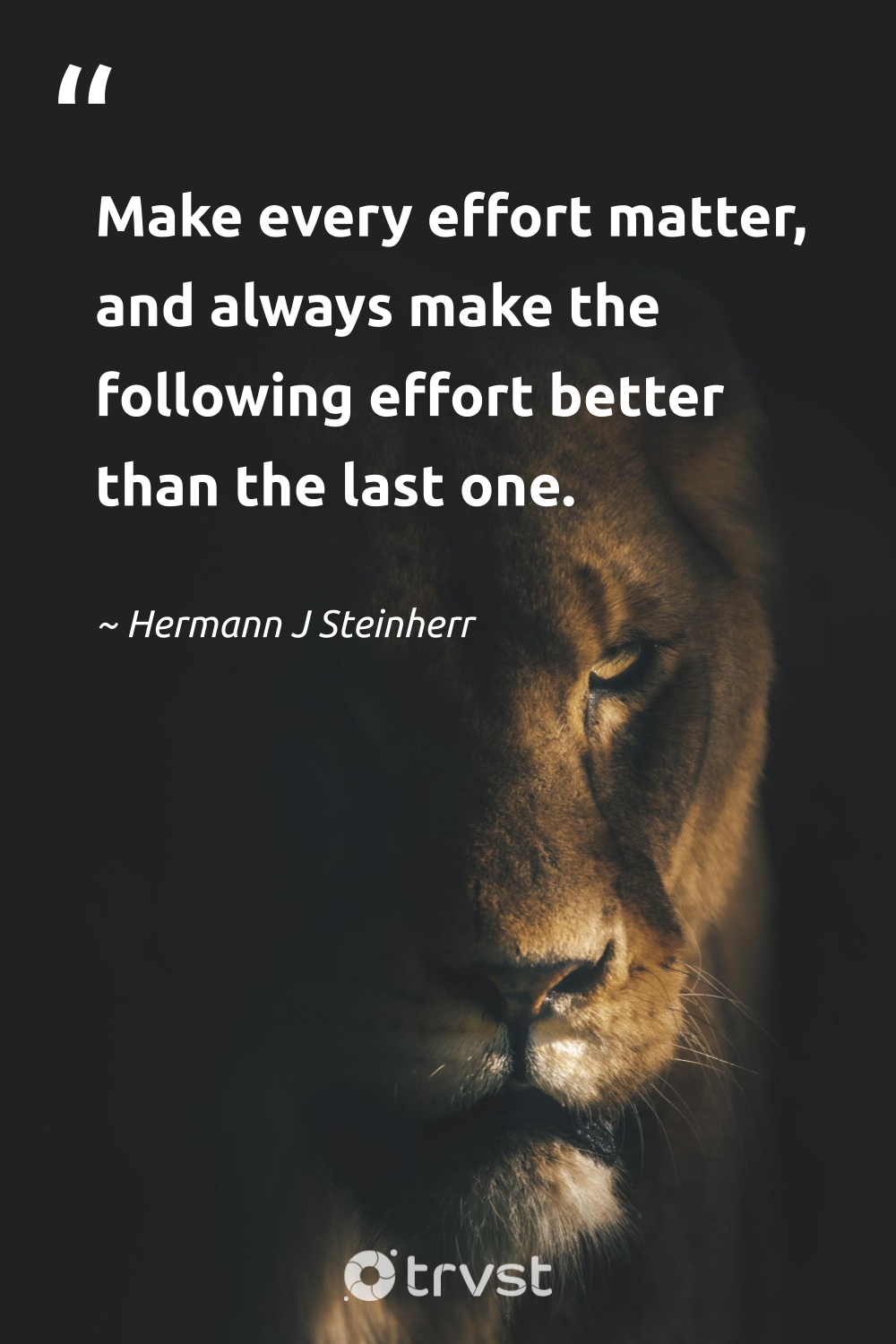 60 Effort Quotes to Unlock Your Full Potential