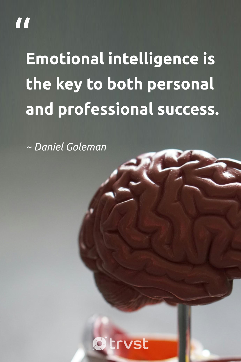 50 Emotional Intelligence Quotes To Enhance Self-Awareness