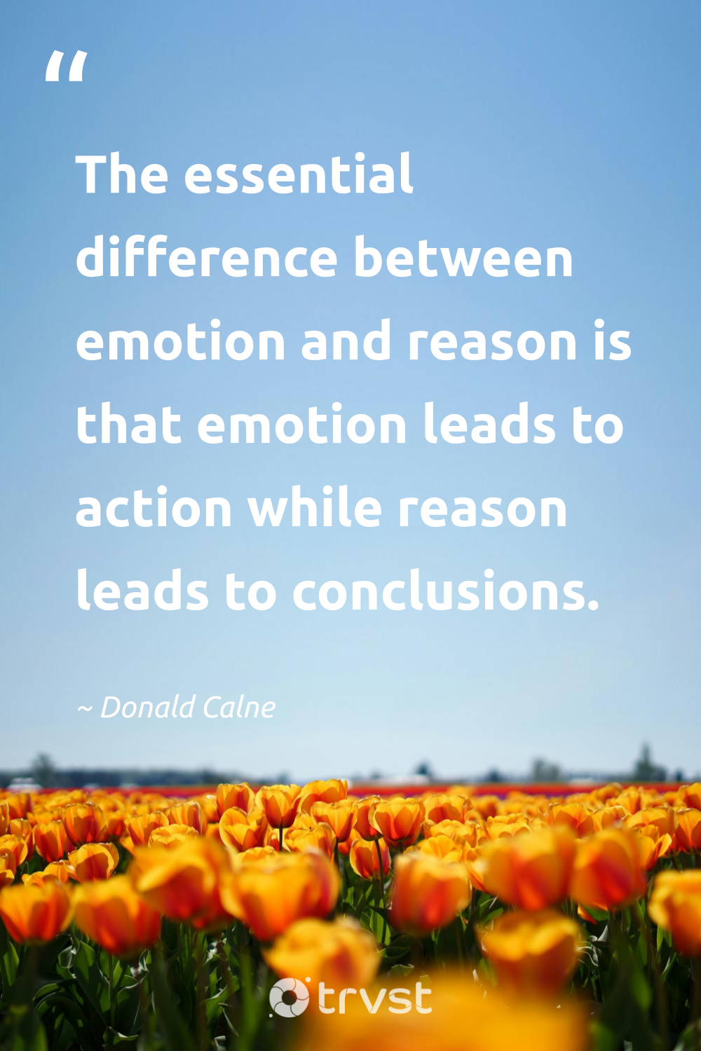 50 Emotional Intelligence Quotes To Enhance Self-Awareness