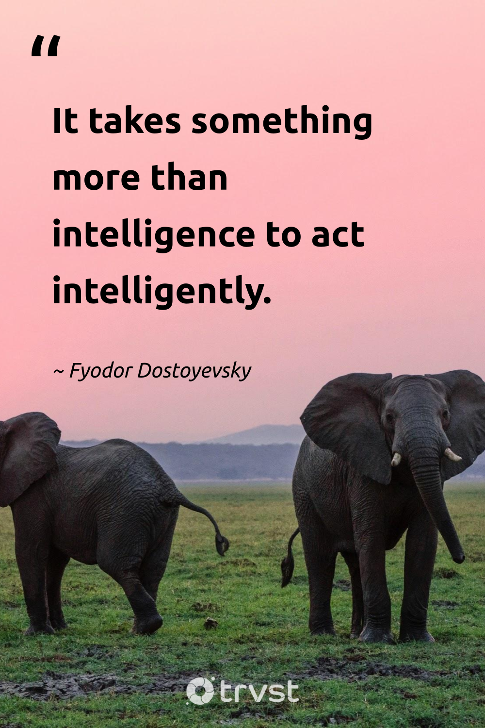 50 Emotional Intelligence Quotes To Enhance Self-Awareness