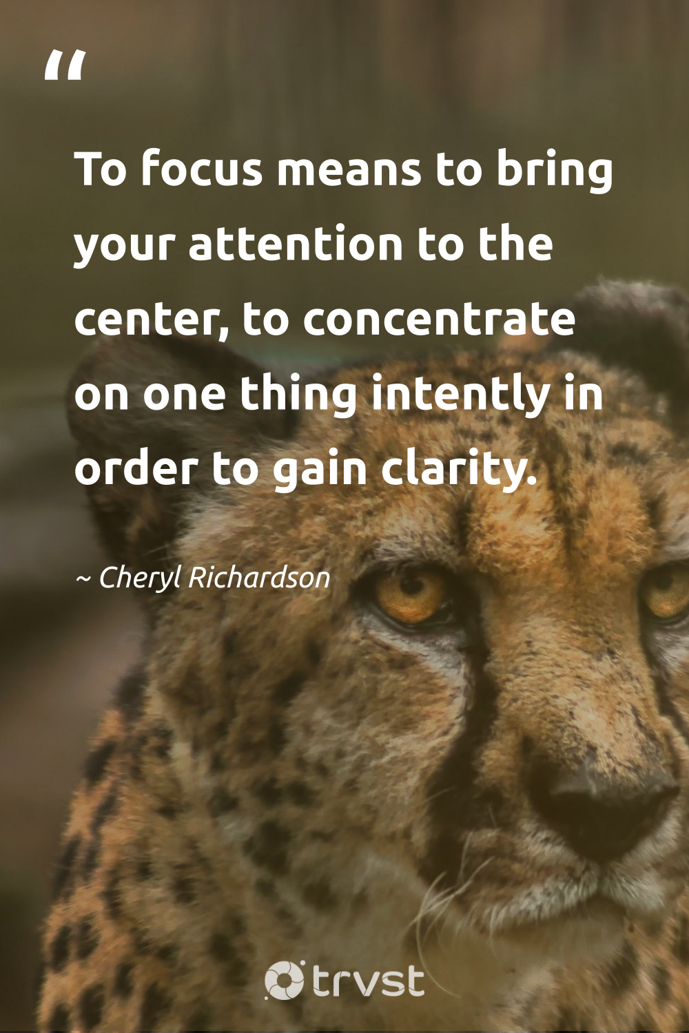 60 Focus Quotes To Guide And Improve Your Attention (2024)