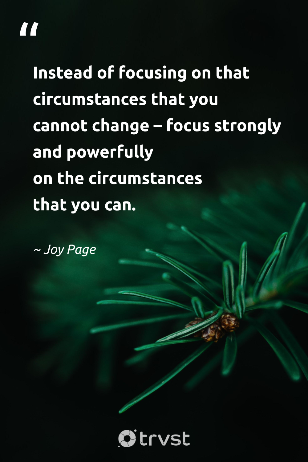 60 Focus Quotes To Guide And Improve Your Attention (2025)