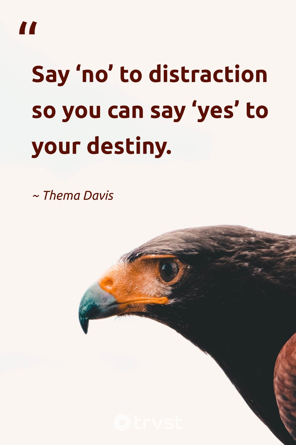 60 Focus Quotes To Guide And Improve Your Attention (2025)