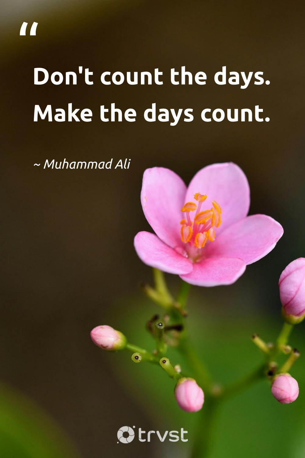 105 Motivation Quotes To Fuel Your Daily Inspiration