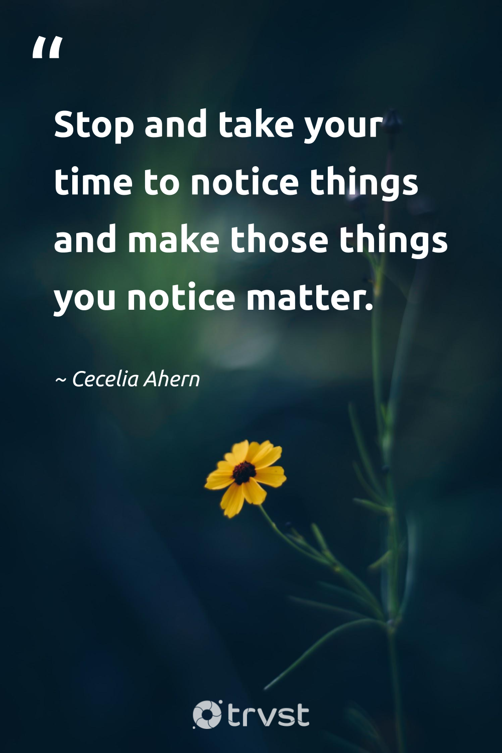 45 Priority Quotes to Assist You In Decision-Making (2025)