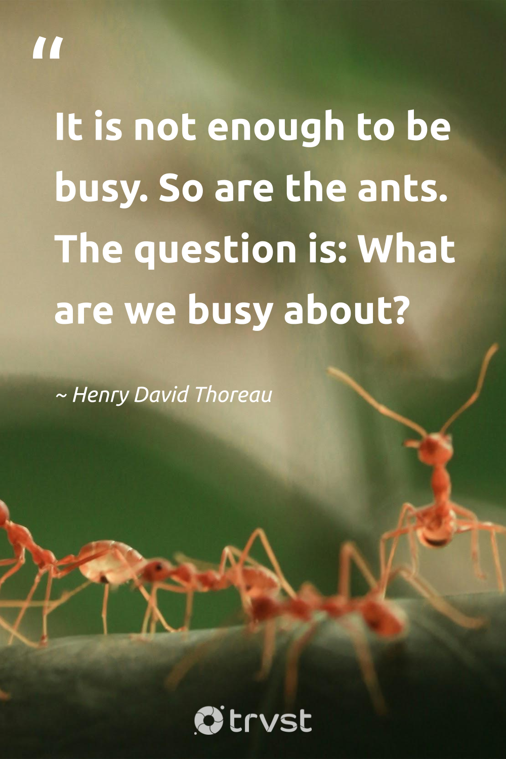 55 Productivity Quotes For Managing Time And Energy