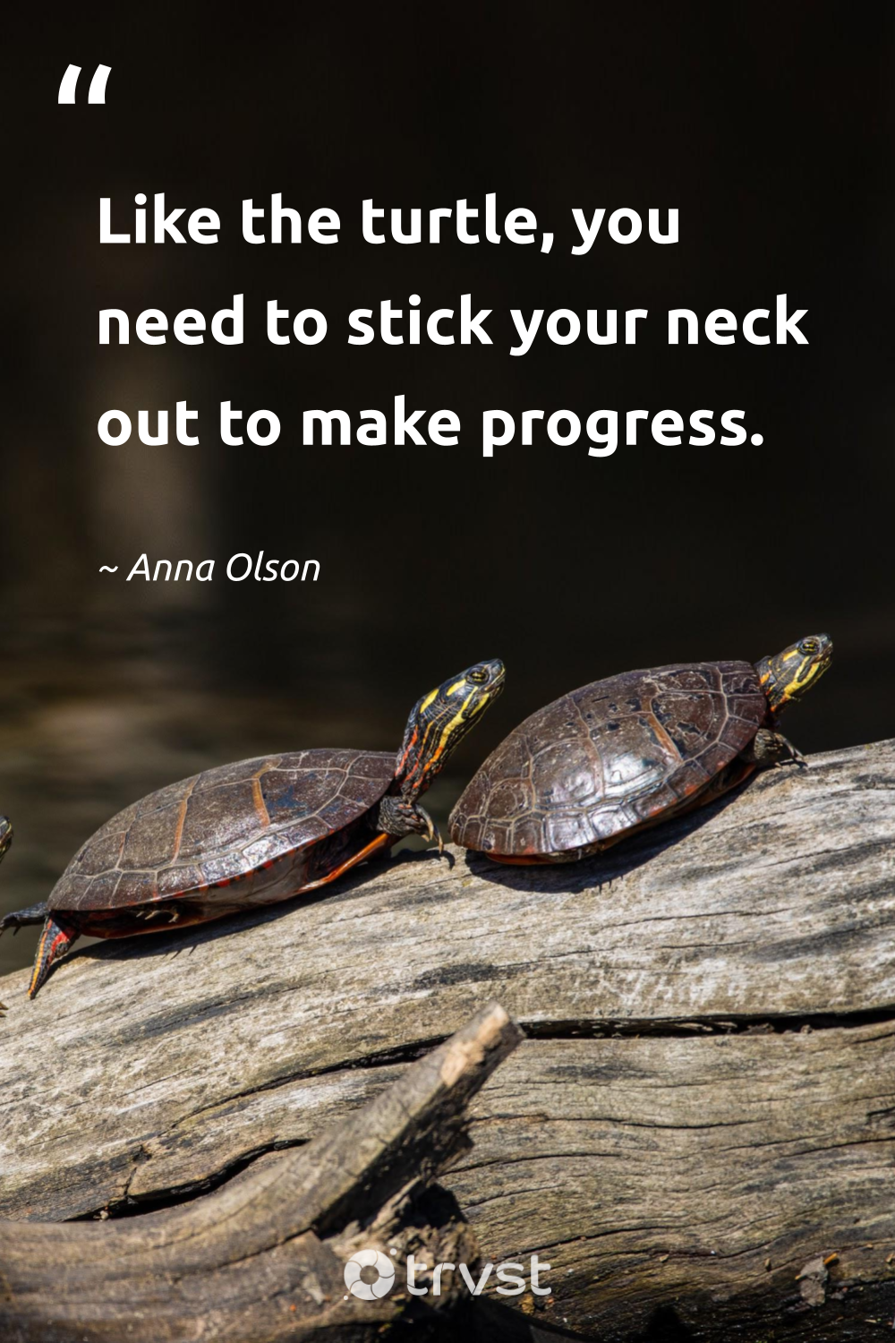 58 Inspirational Progress Quotes to Build Momentum (2024)