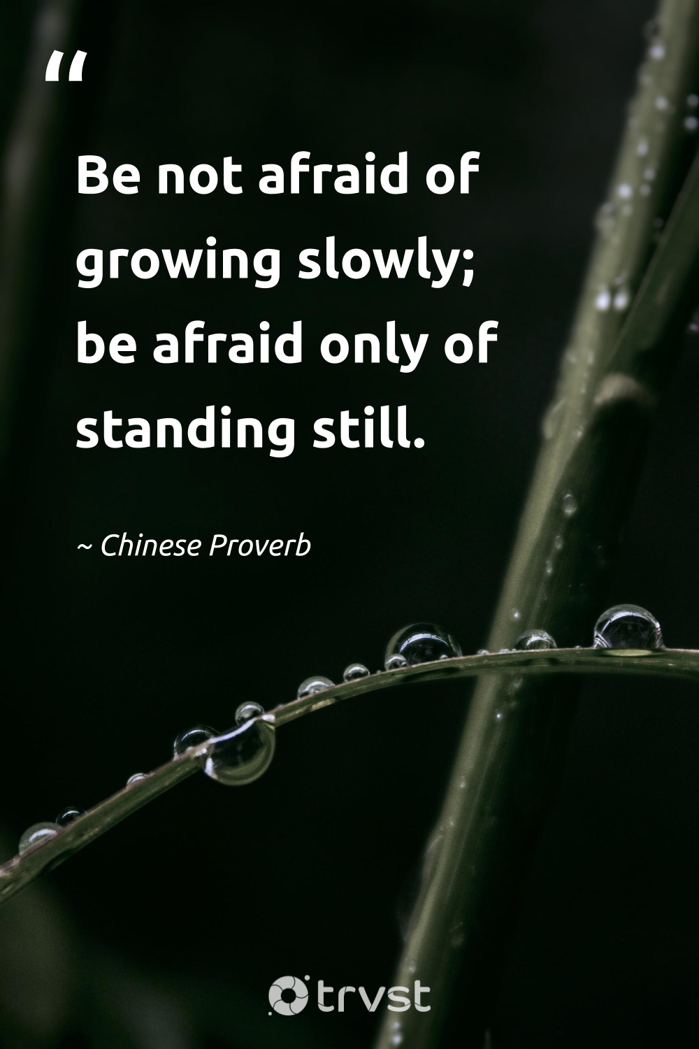 58 Inspirational Progress Quotes to Build Momentum (2024)