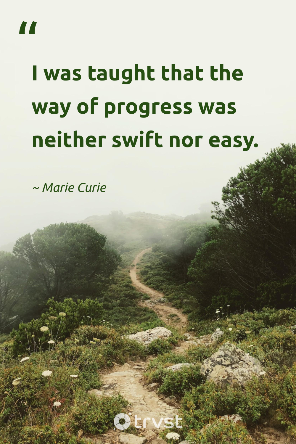 58 Inspirational Progress Quotes to Build Momentum (2024)