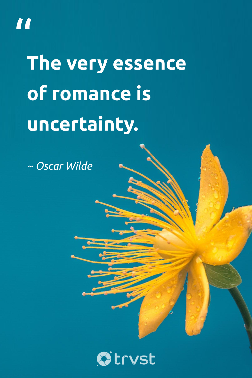 38 Taking Chances Quotes To Ignite Courage (2024)