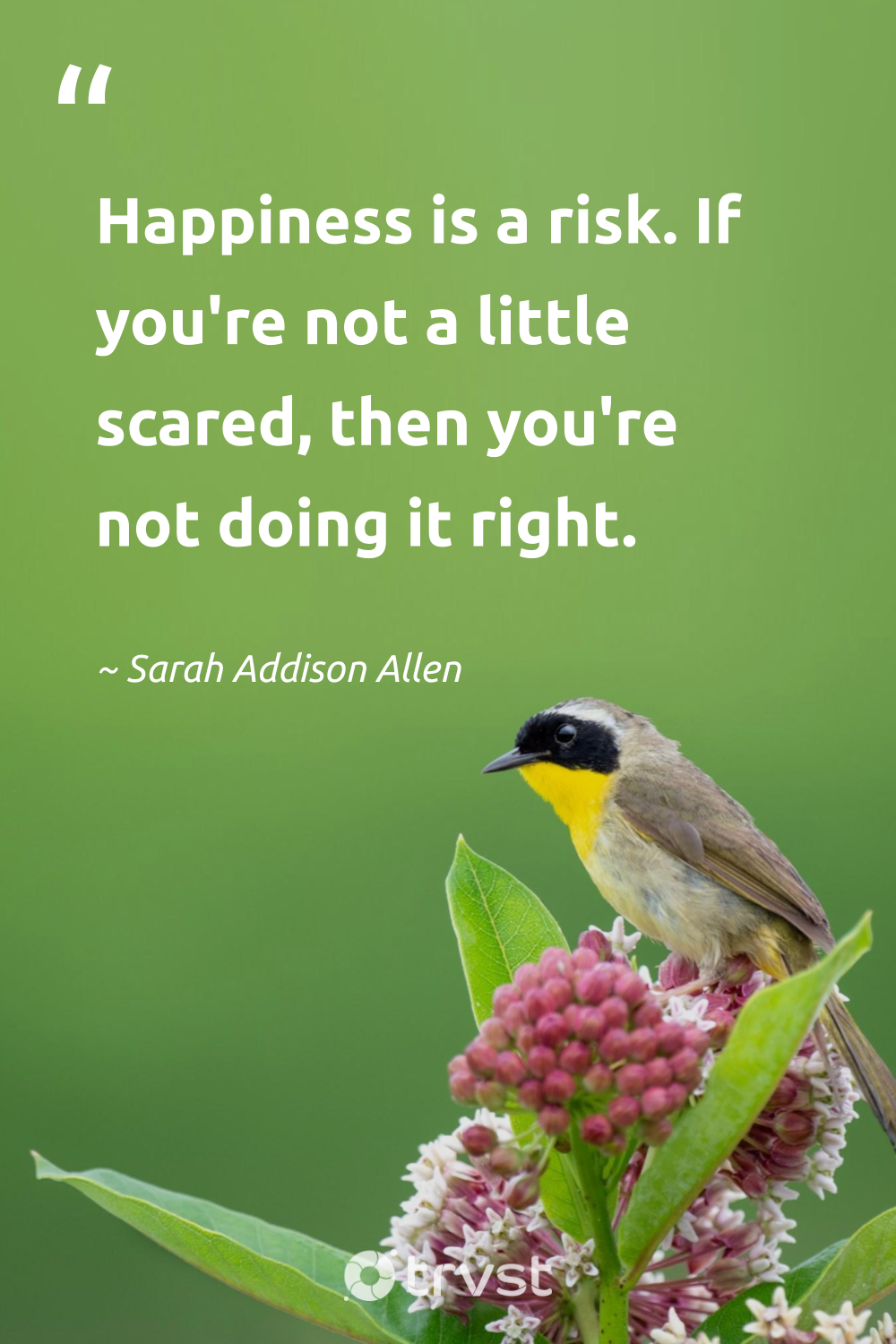 38 Taking Chances Quotes To Ignite Courage (2025)