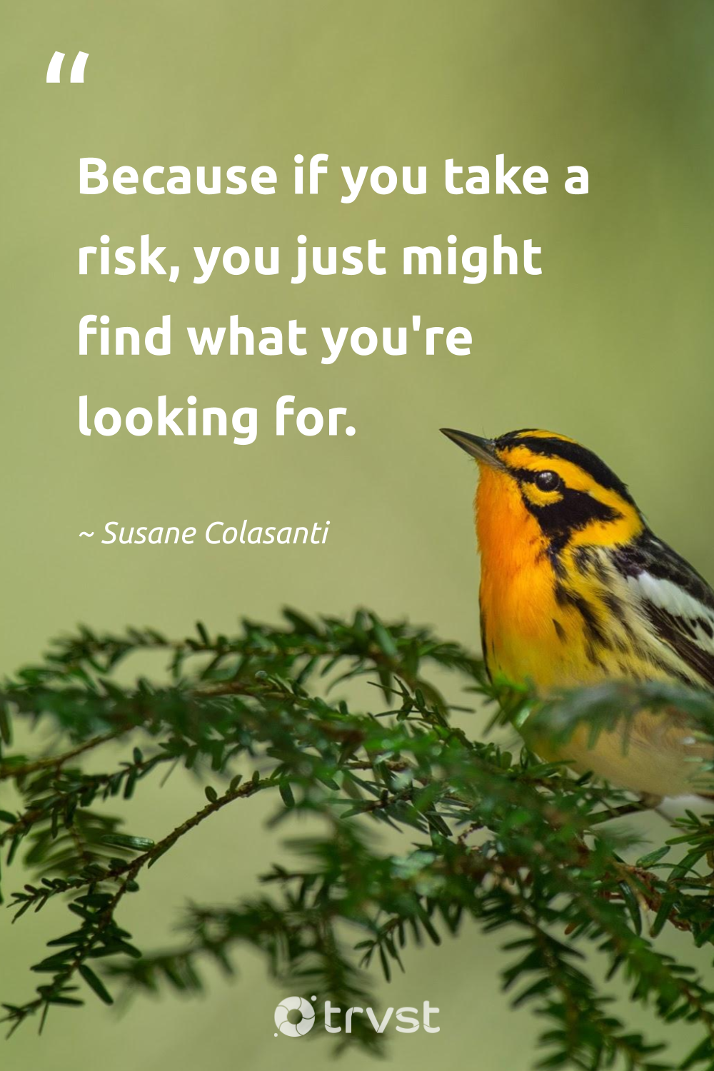 38 Taking Chances Quotes To Ignite Courage (2025)