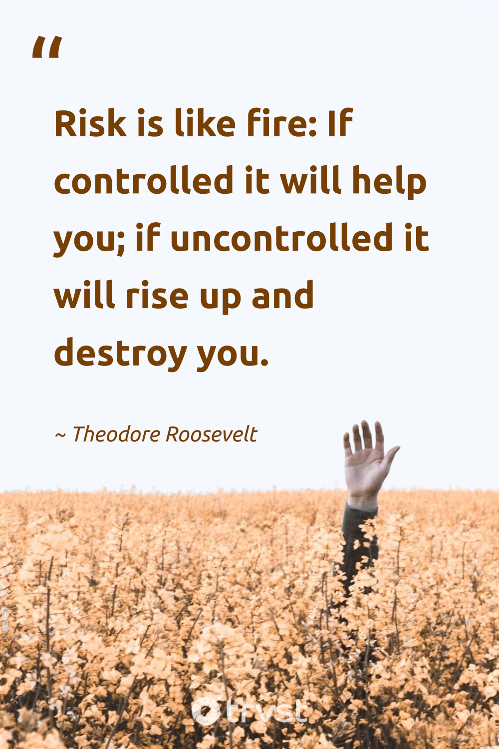 38 Taking Chances Quotes To Ignite Courage (2024)