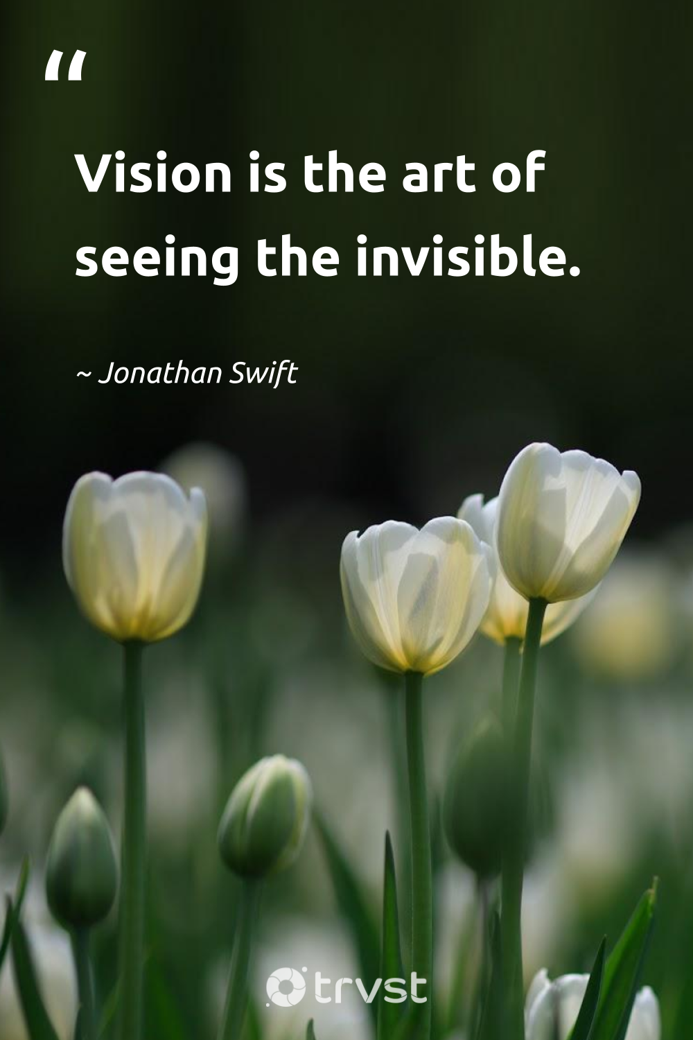 25 Vision Quotes For A Clearer And Brighter Future