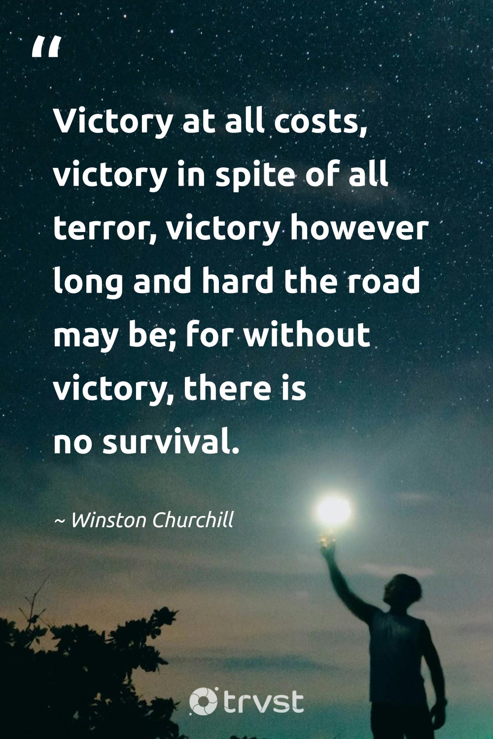 50 Winning Quotes Fuelling Your Journey To Victory