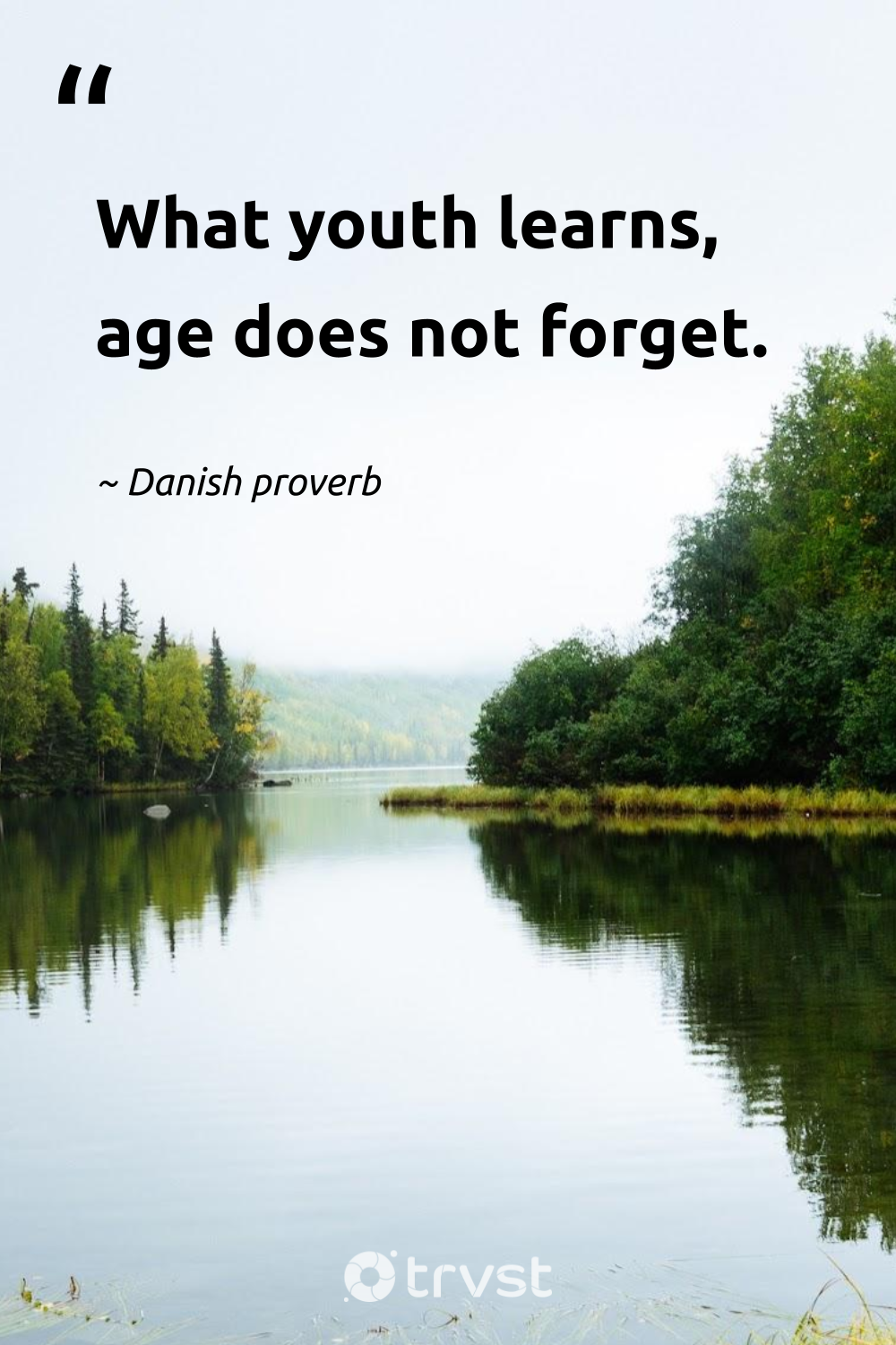 50 Youth Quotes About The Joyful Spirit And Memories