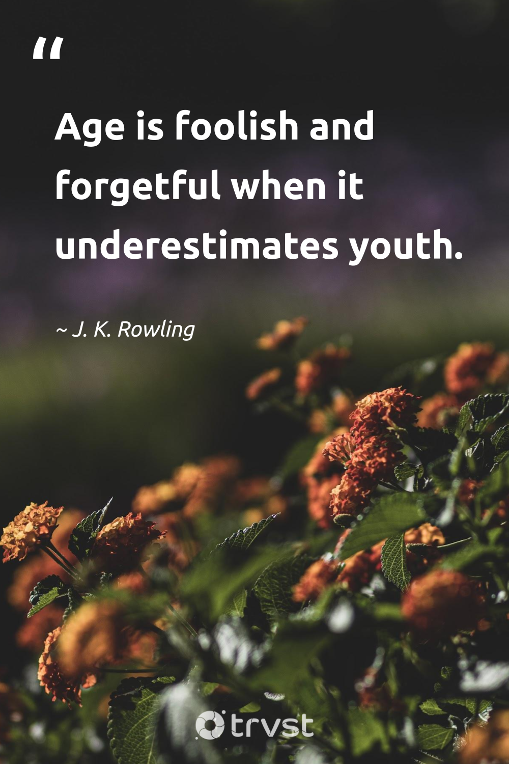 50 Youth Quotes About The Joyful Spirit And Memories